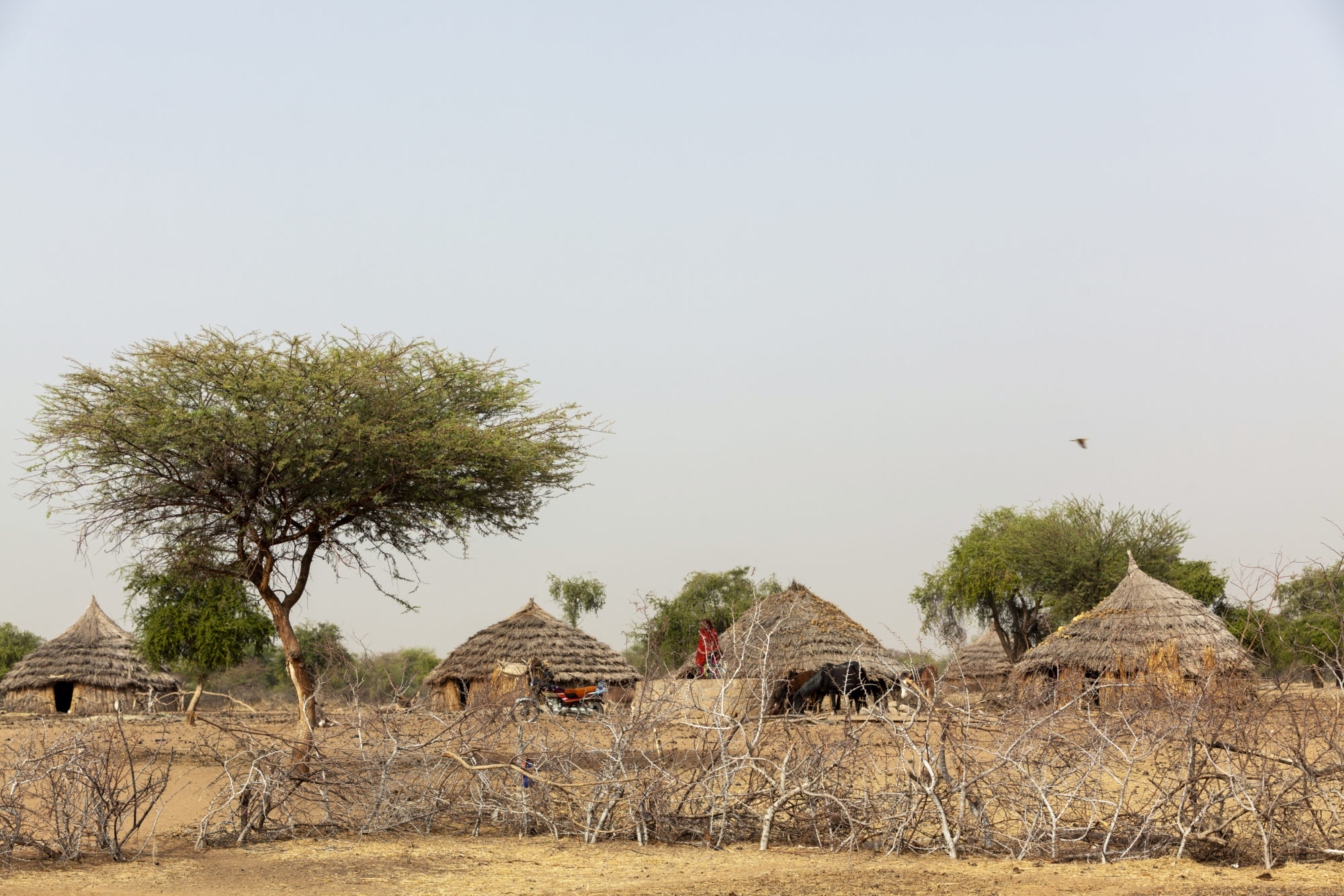 2009039NRF568 - IMB Photos