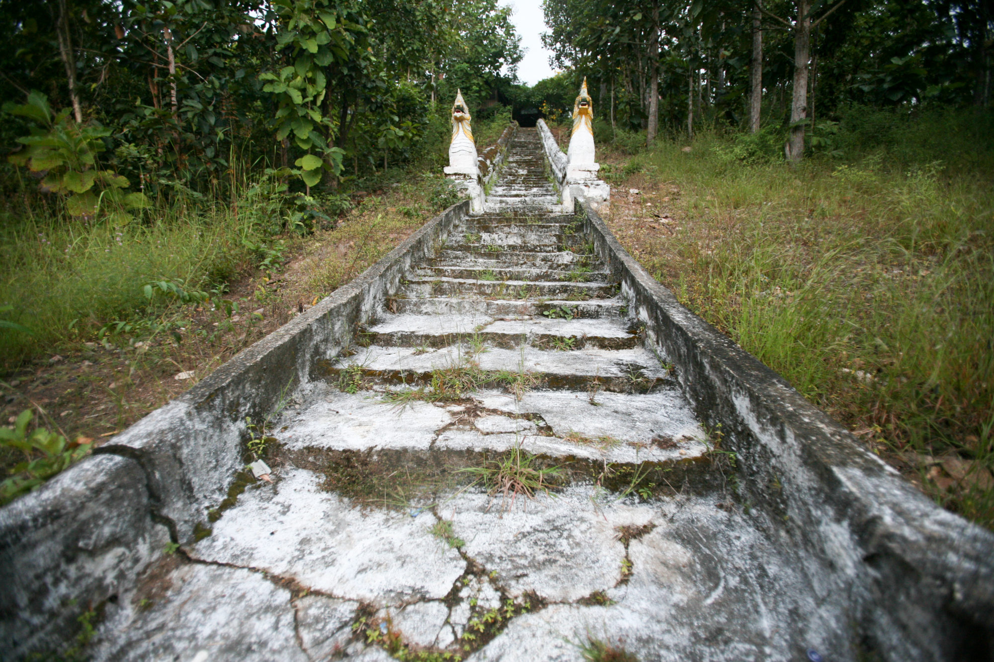 Buddhist Temple Steps - IMB