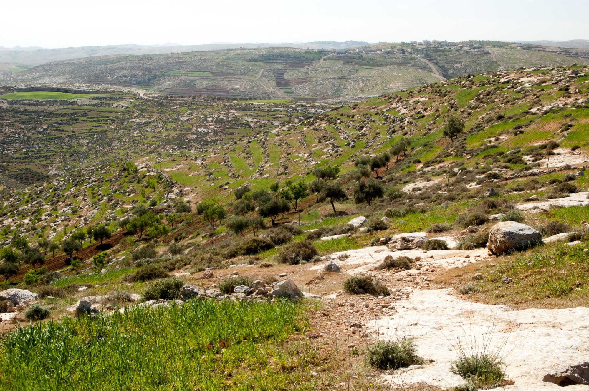Israel Landscape - IMB