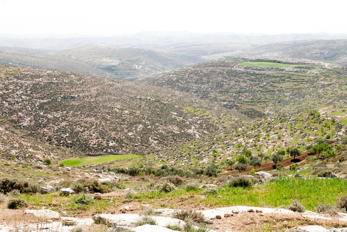 Israel Landscape - IMB