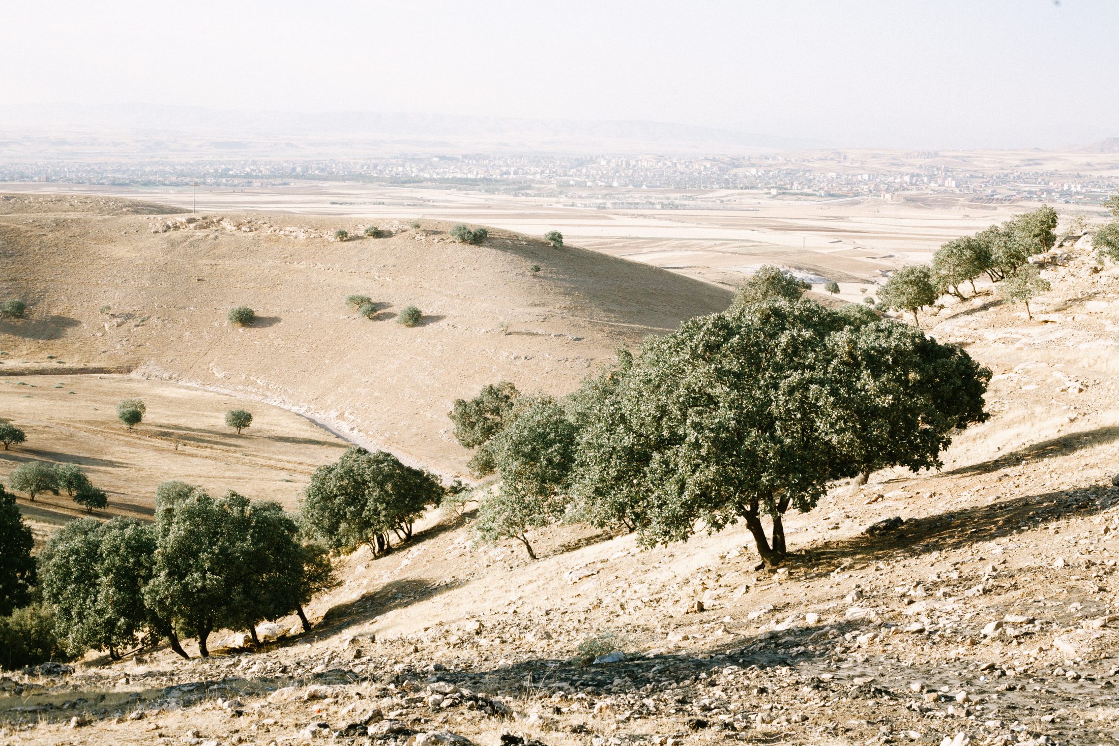 Turkish Landscape - IMB