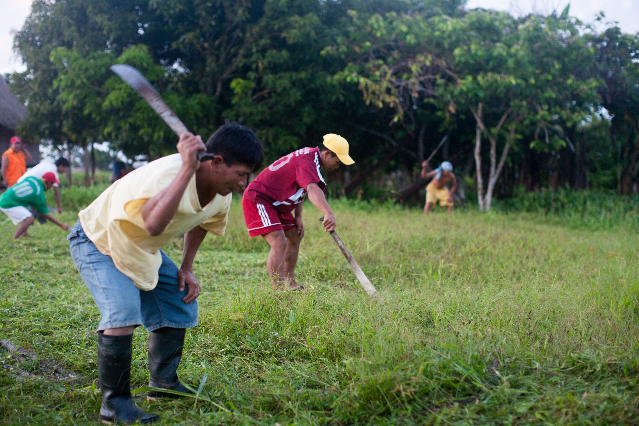 Cutting with Machetes - IMB