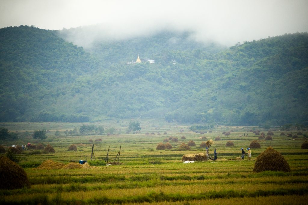 Farms in Myanmar - IMB