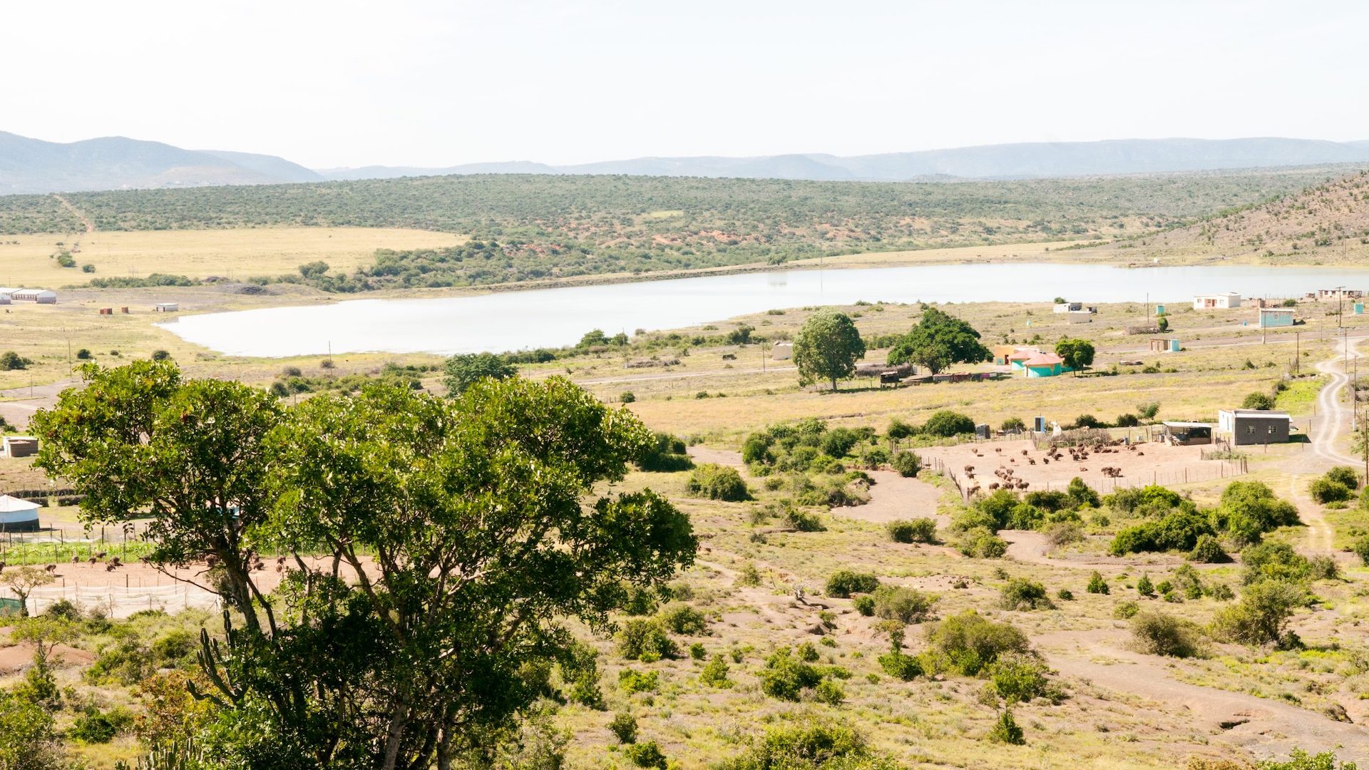 In memoriam: Missionary emeritus Beverly Ann Anderson, 1938-2024 - IMB