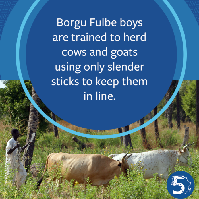 Borgu Fulbe of Togo - IMB