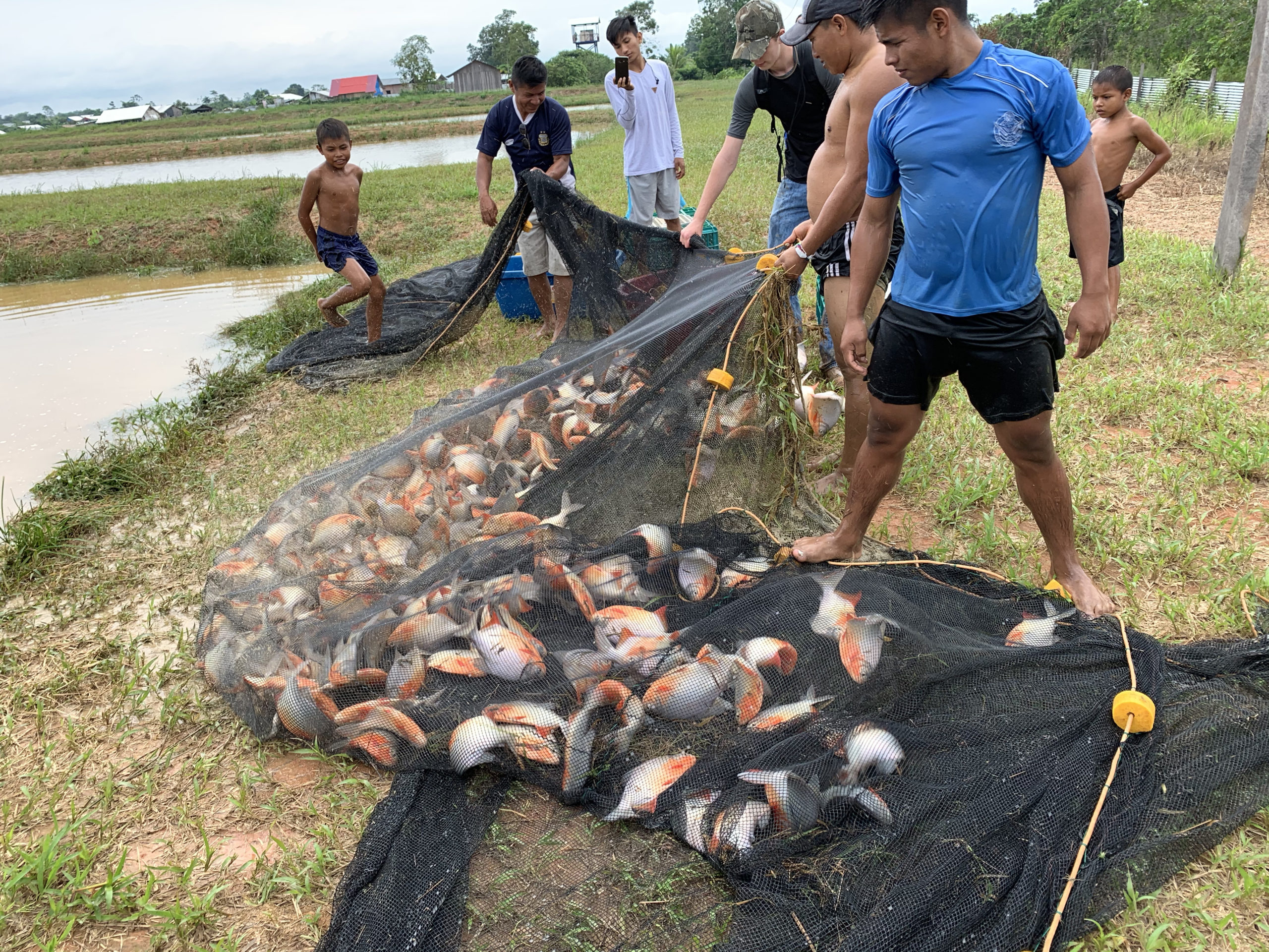 Week of Prayer for International Missions: Day 4 - IMB