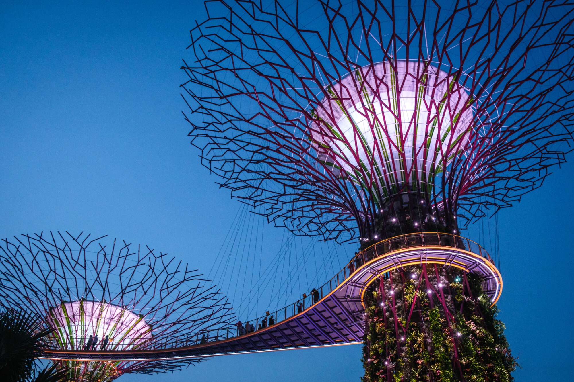 International Mission Board - Who We Are - IMB